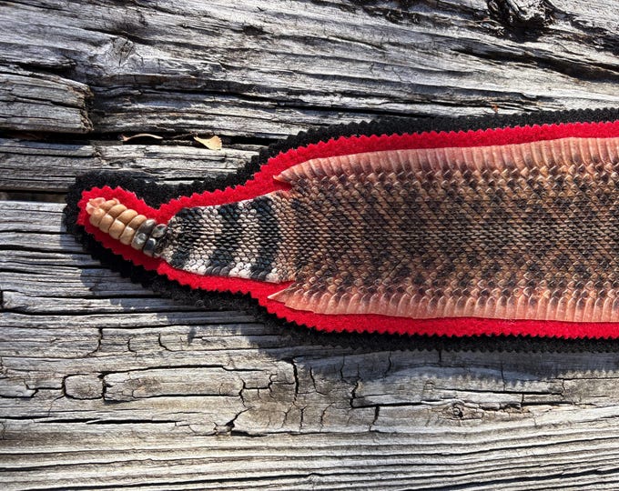 49” Western Diamondback Rattlesnake Skin - Etsy