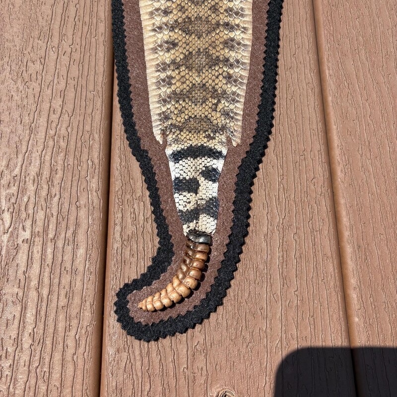 Rattlesnake Skin - Etsy