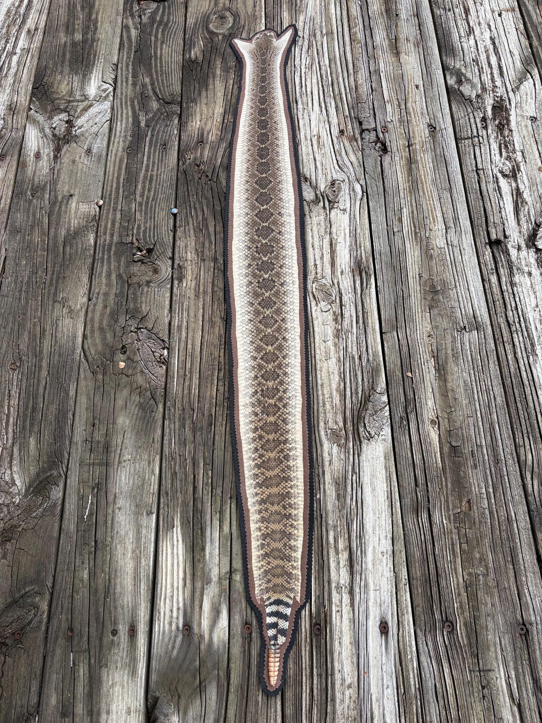 48" Western Diamondback Rattlesnake Skin - Etsy