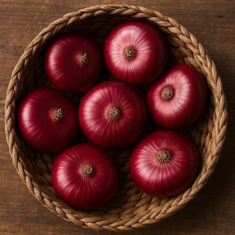 25 Red Cipollini Onion Seeds | Italian Heirloom | Sweet Flat Onion ...