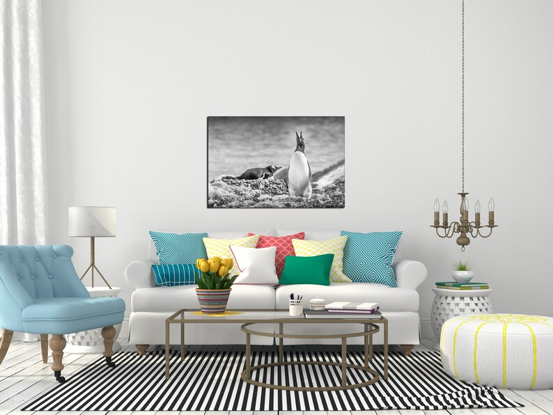 Gentoo Penguin Couple Nesting Print Antarctica Art Fine Art | Etsy