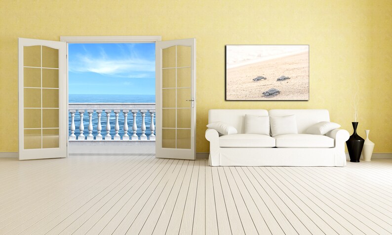 Baby Sea Turtle Print Olive Ridley Animal Babies Nursery Art - Etsy