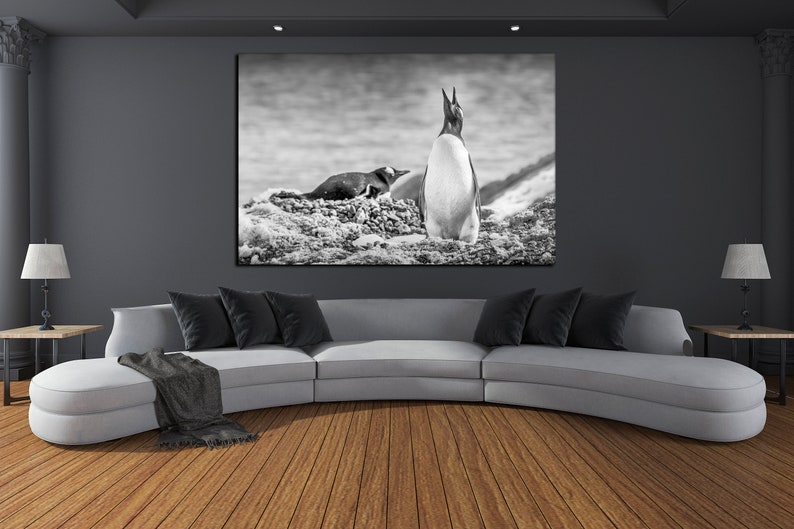 Gentoo Penguin Couple Nesting Print Antarctica Art Fine Art | Etsy