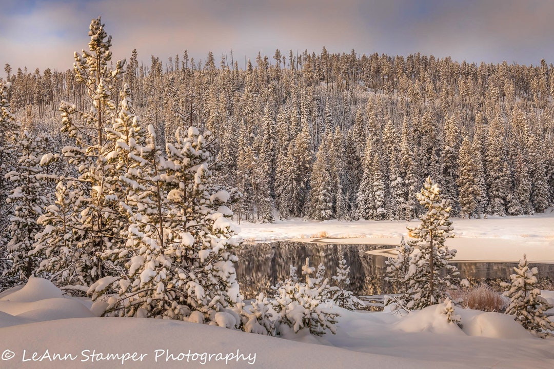 Yellowstone National Park Winter Landscape Fine Art Photography - Etsy