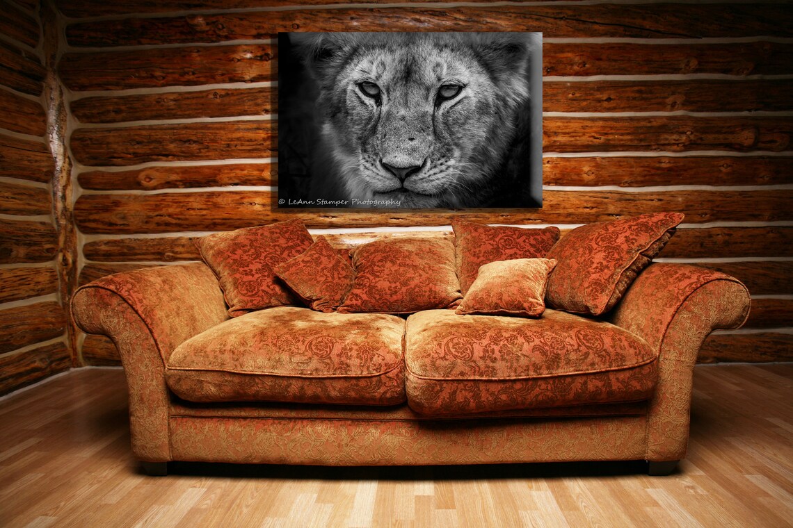 Lion Cub Print Close up Animal Art Poster Safari Nursery Fine - Etsy