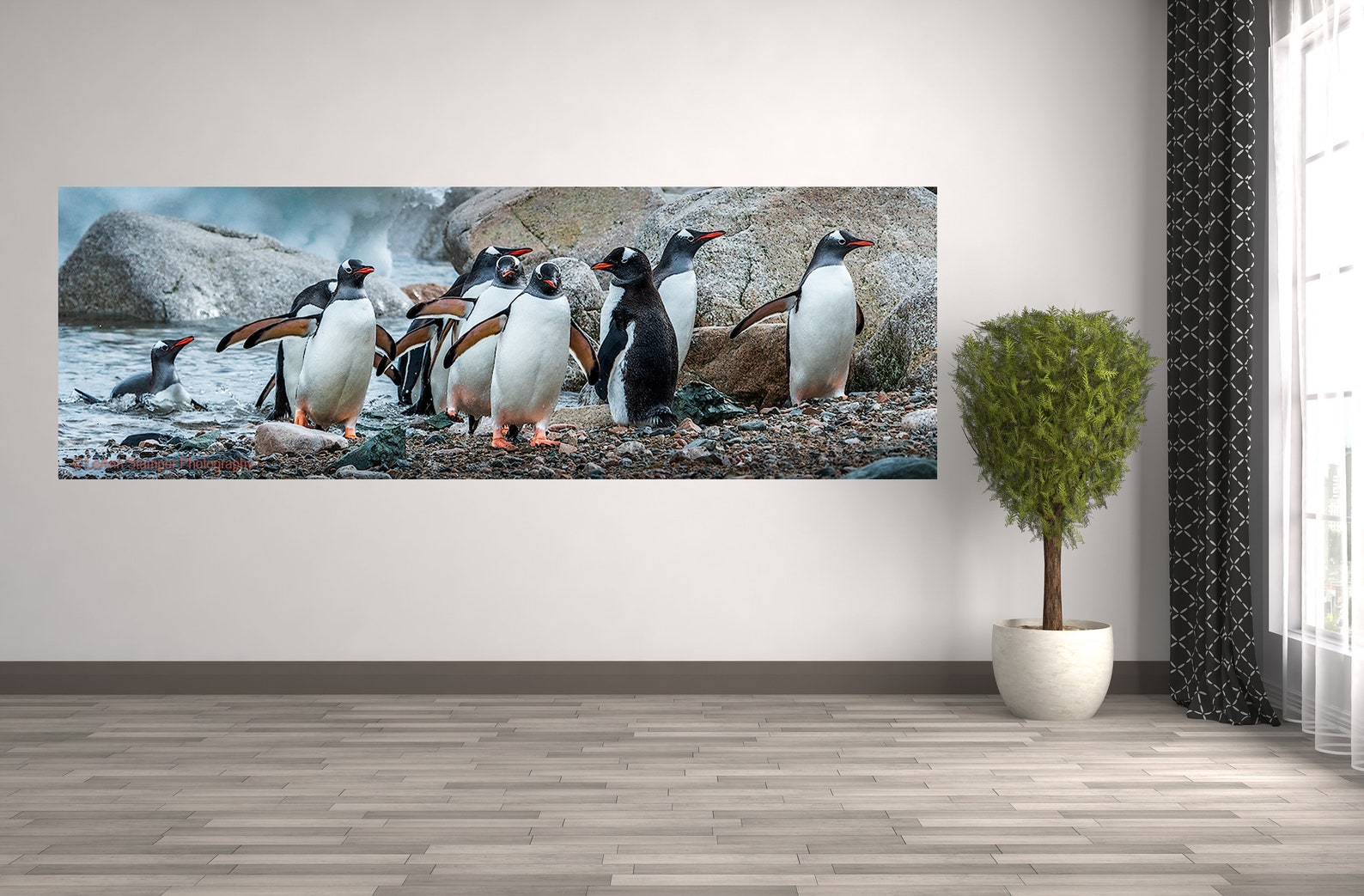 Gentoo Penguin Print Antarctica Wildlife Poster Iceberg and | Etsy