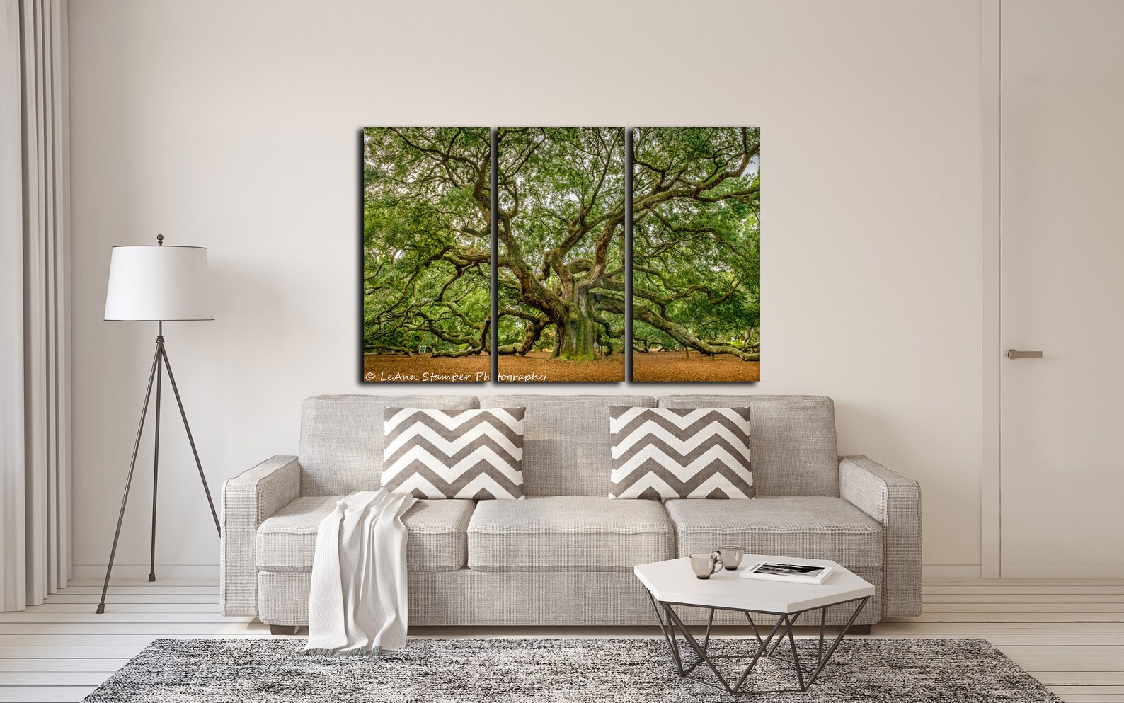 Charleston SC Print South Carolina Historic Angel Oak Tree - Etsy
