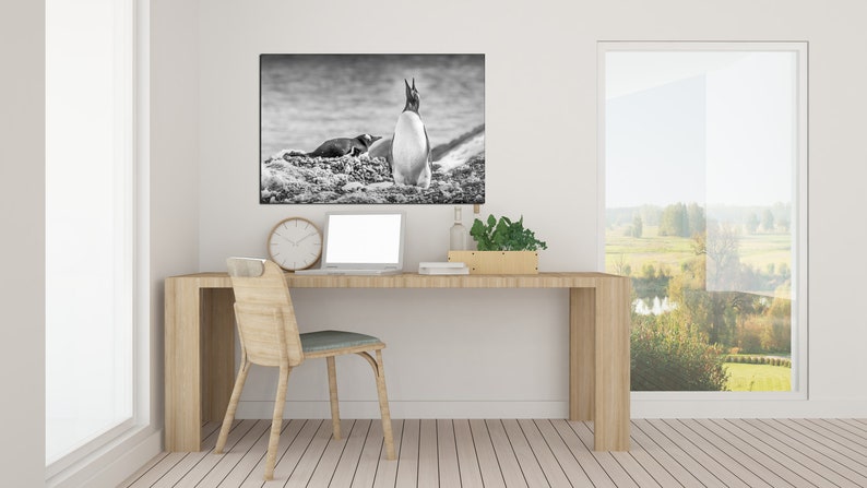 Gentoo Penguin Couple Nesting Print Antarctica Art Fine Art | Etsy