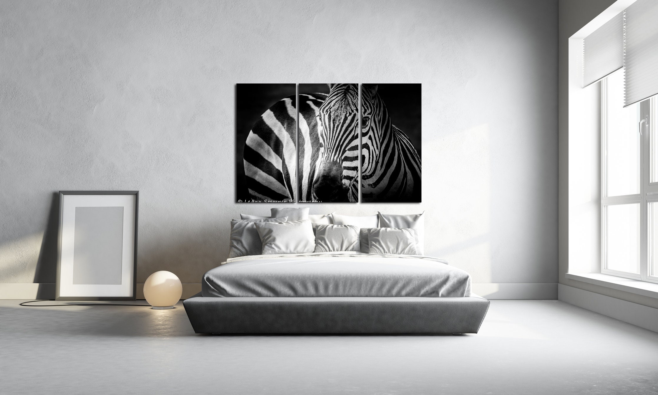 Zebra Print Africa Wildlife Fine Art Black and White Photography on ...