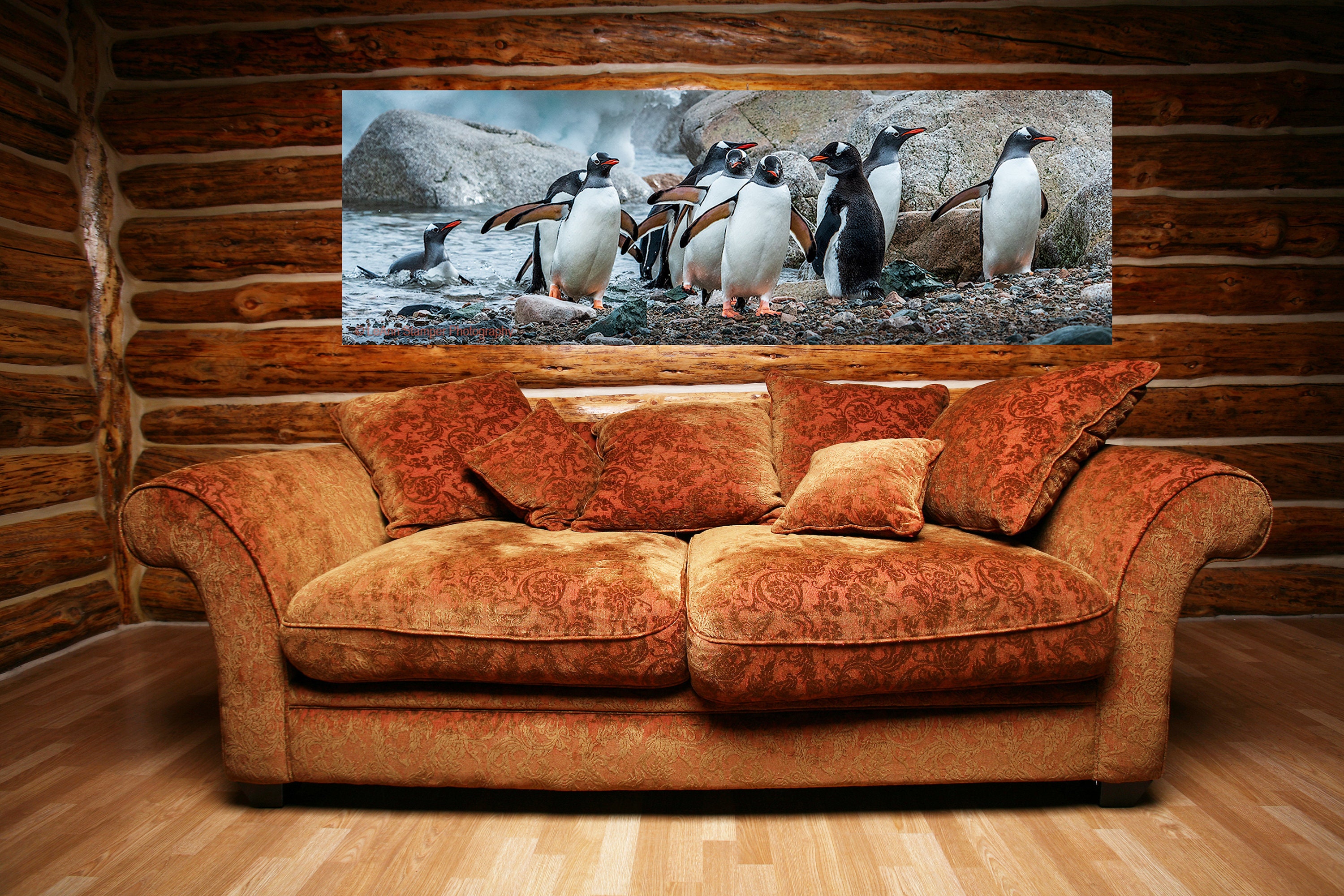 Gentoo Penguin Print Antarctica Wildlife Poster Iceberg and | Etsy