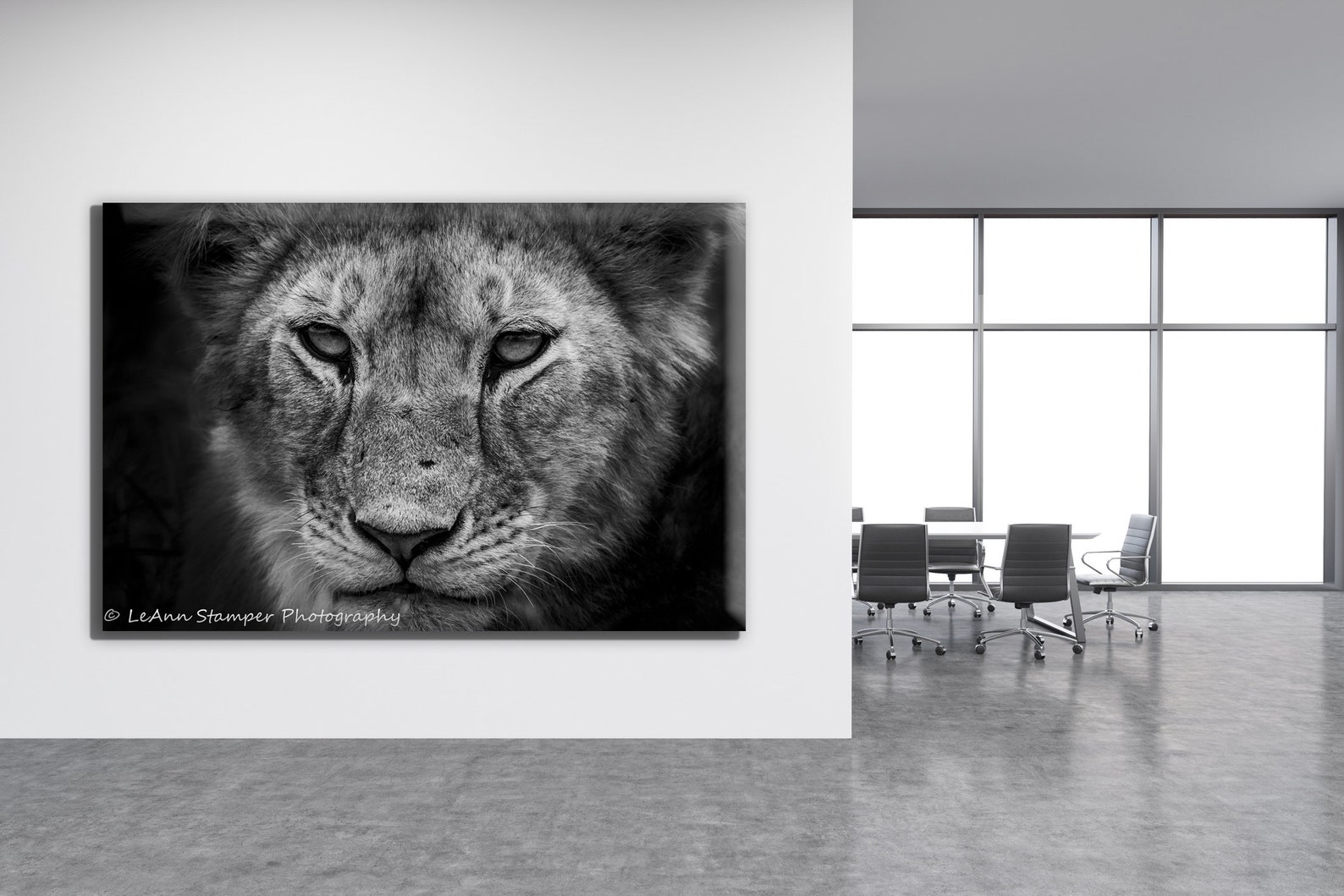 Lion Cub Print Close up Animal Art Poster Safari Nursery Fine - Etsy