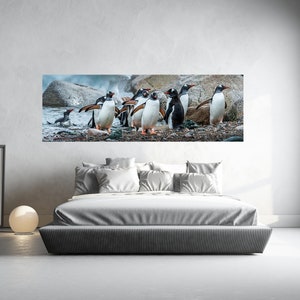 Gentoo Penguin Print Antarctica Wildlife Poster Iceberg and Snow Fine ...