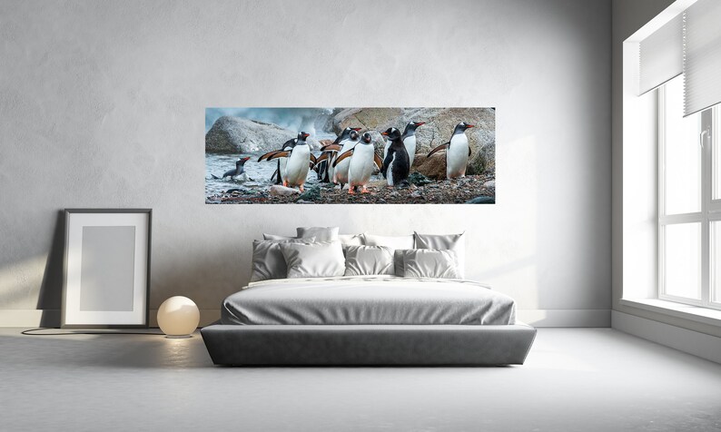 Gentoo Penguin Print Antarctica Wildlife Poster Iceberg and | Etsy