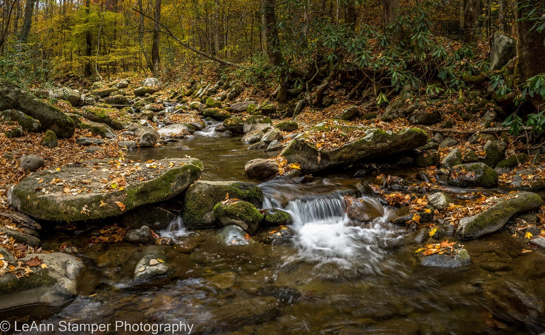 Great Smoky Mountains National Park Fall Leaves Hiking Stream Smokies ...