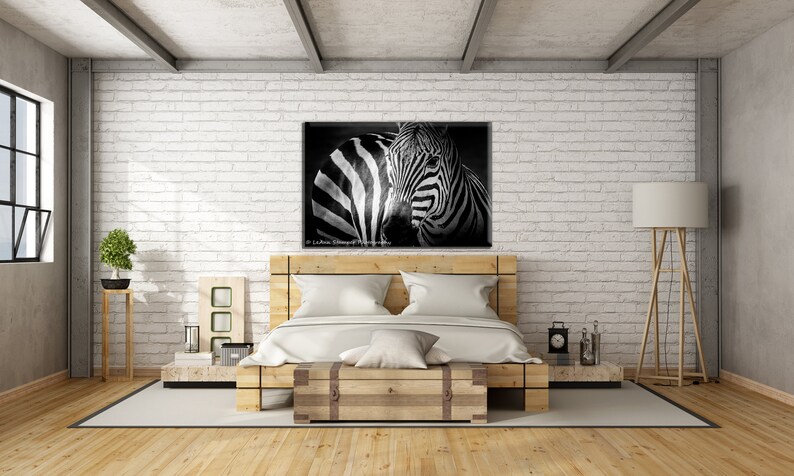 Zebra Print Africa Wildlife Fine Art Black and White Photography on ...