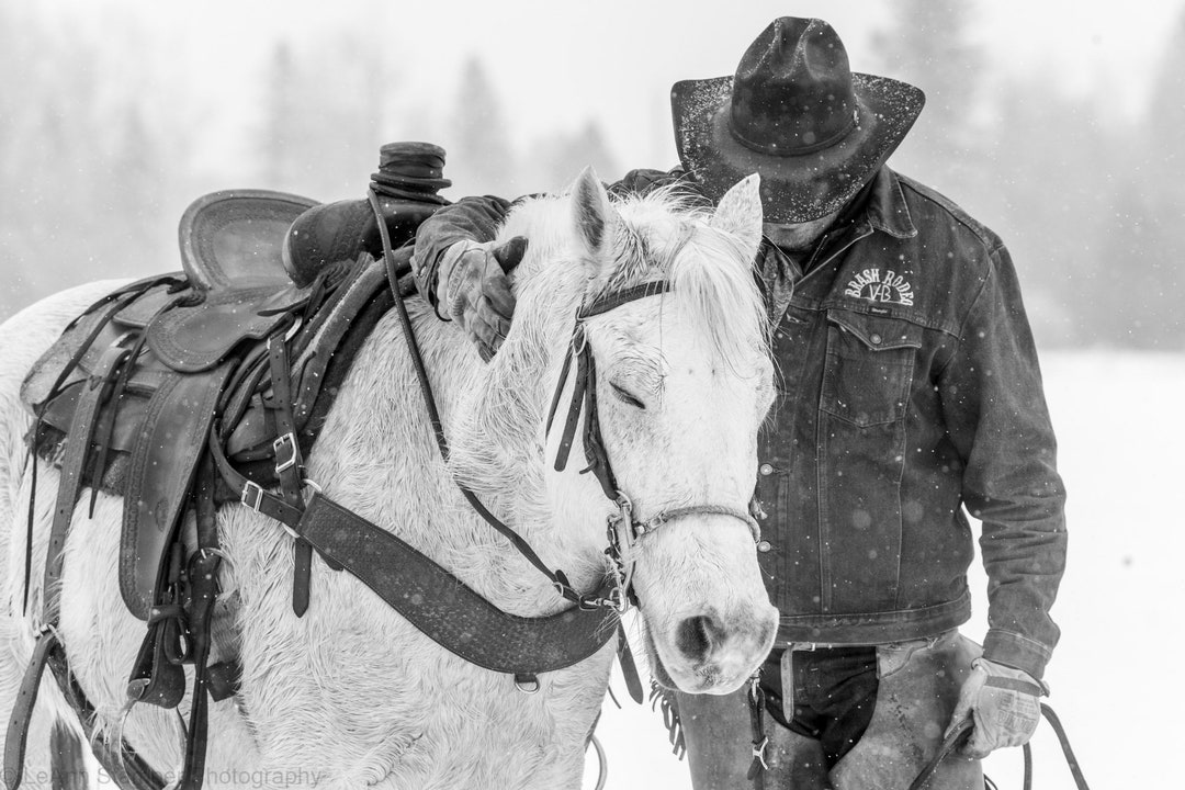 Yellowstone Montana Cowboy White Horse Rodeo Prayer Snow Scene Fine Art ...