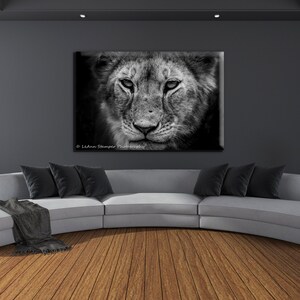 Lion Cub Print Close up Animal Art Poster Safari Nursery Fine Art Black ...