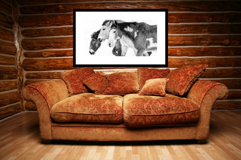 American Paint Horse Print Pinto Tobiano Overo Tovero Black and White ...
