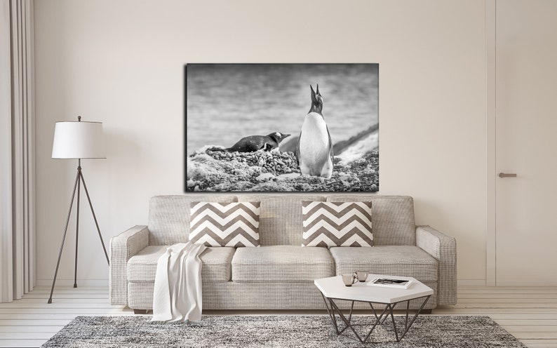 Gentoo Penguin Couple Nesting Print Antarctica Art Fine Art | Etsy