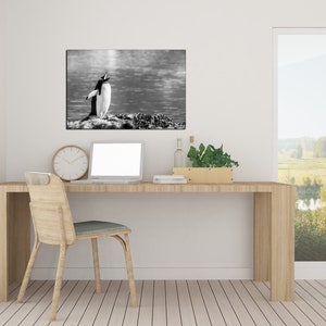 Happy Singing Gentoo Penguin Print Antarctica Art Fine Art Black ...