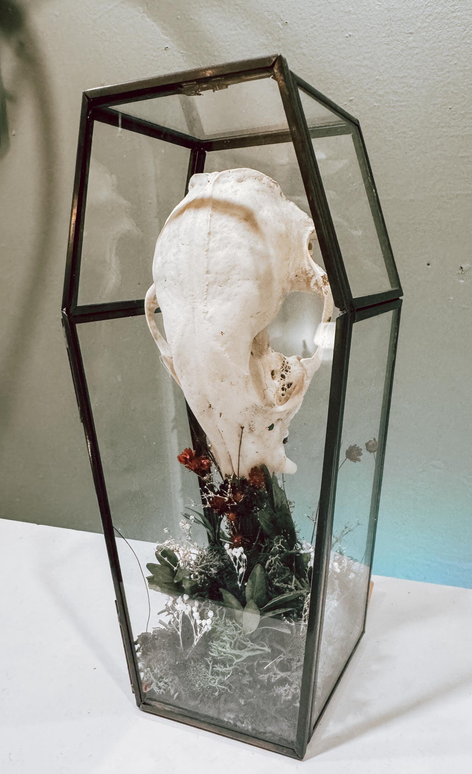Raccoon Coffin Terrarium | Dried Flowers and Moss | Tabletop Display - Etsy