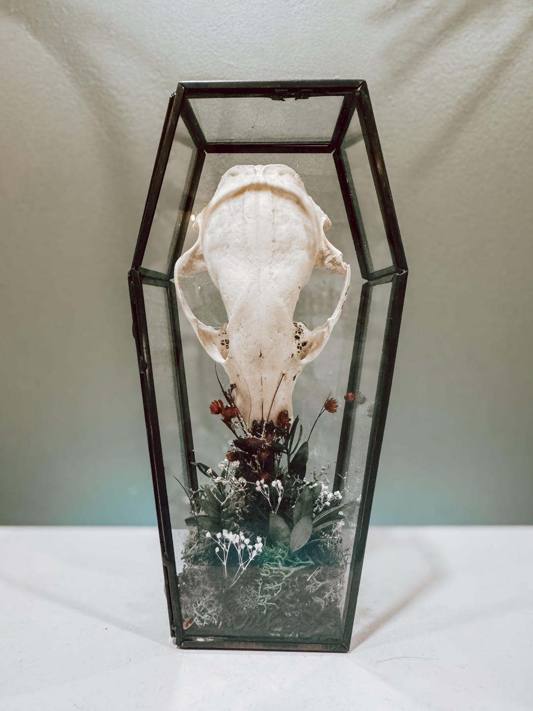 Raccoon Coffin Terrarium | Dried Flowers and Moss | Tabletop Display - Etsy