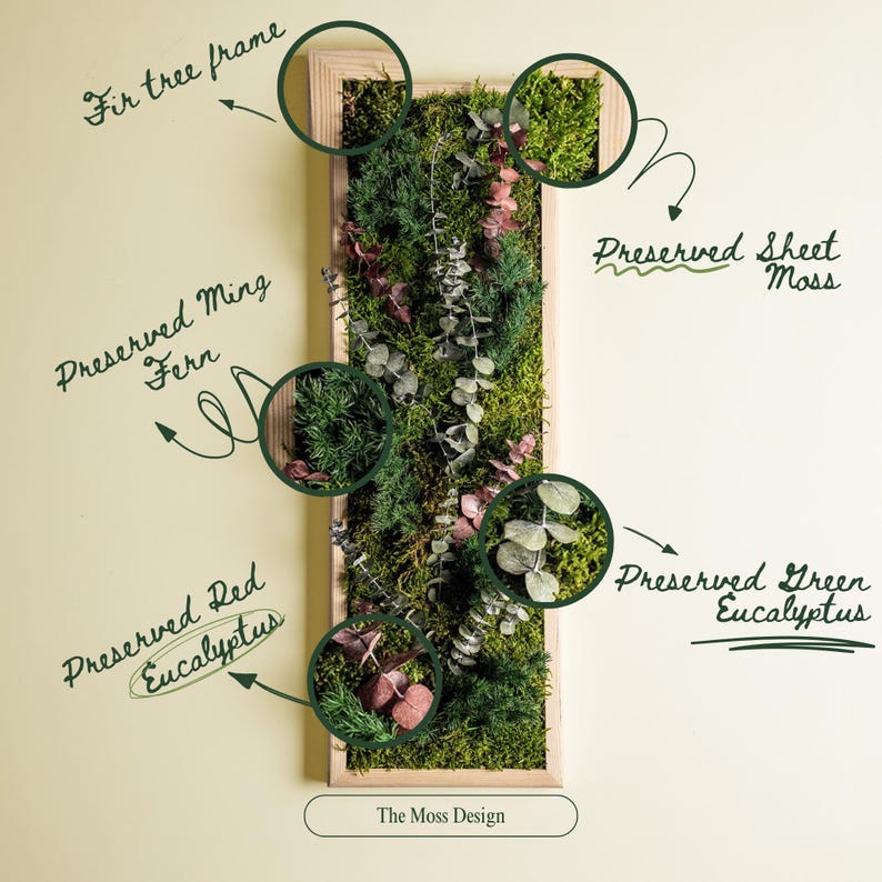 Preserved Moss & Eucalyptus Wall Art: Handmade Green Decor - Etsy
