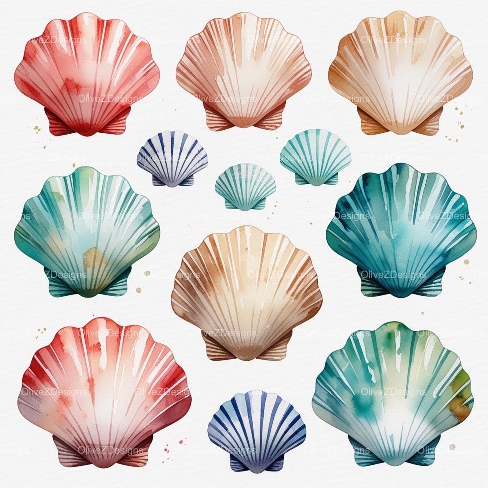 Seashell Watercolor Clipart: Ocean Theme PNG Images (digital Download ...