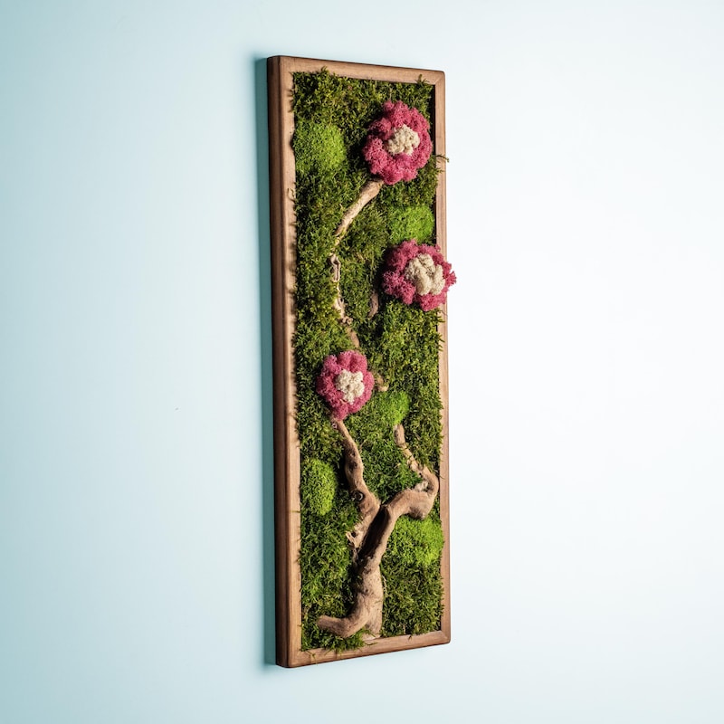 Colorful Moss Art Wall - Etsy