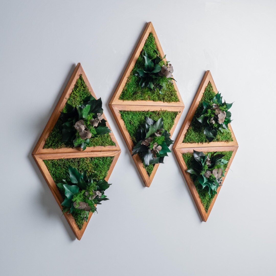Geometric Preserved Moss Wall Art – Live Edge Moss Panels in Handmade ...