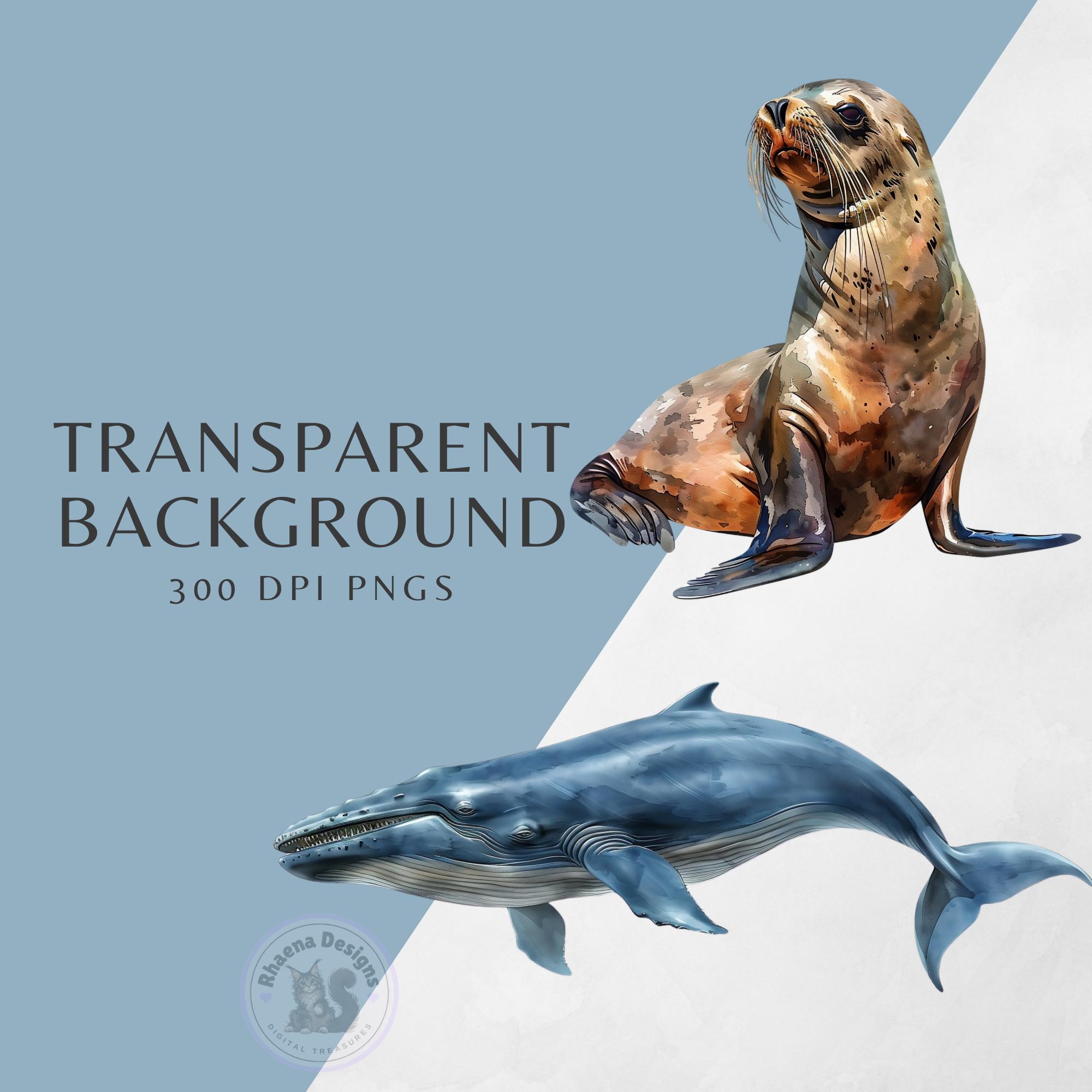 Watercolor Sea Creatures Clipart Bundle: Ocean Animals PNG (digital ...