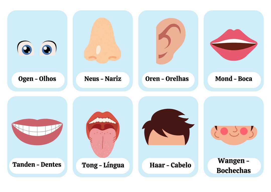 16 Dutch - Portuguese Body Parts Flashcards, Printable Montessori ...