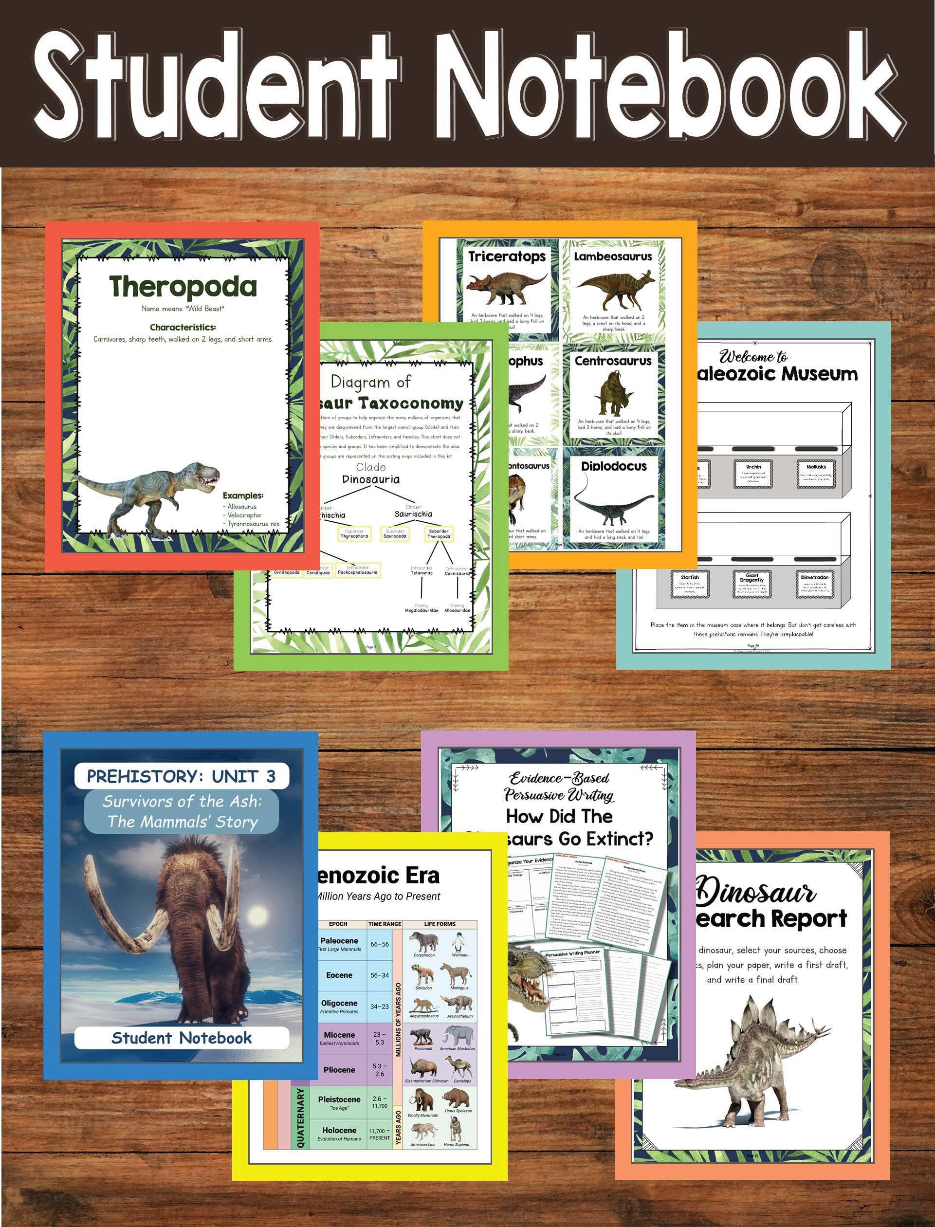 UPDATED Prehistory Unit Guide for Grades 5-8 - Literature Based - Etsy