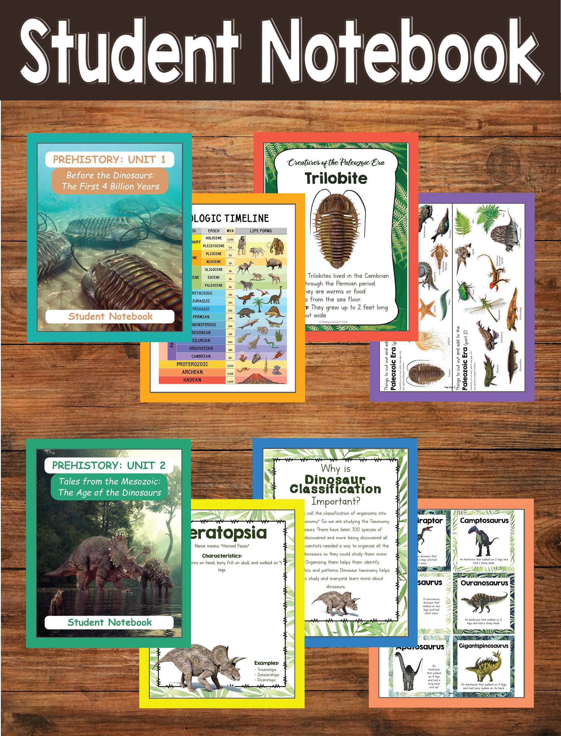 UPDATED Prehistory Unit Guide for Grades 5-8 - Literature Based - Etsy