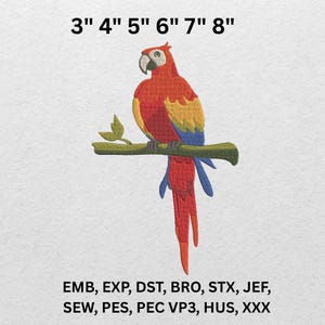4 Parrot Embroidery Designs | Colorful Bird Machine Embroidery Files ...