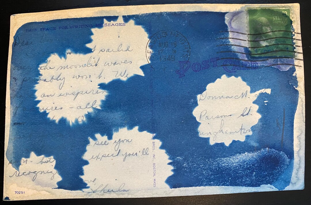 Cyanotypes Blue Postcard - Cyanotype Print - Botanical Dried Flower ...