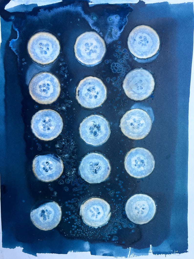 Cucumber Cyanotype Abstract Cyan Blues Culinary Abstract Circle Art ...