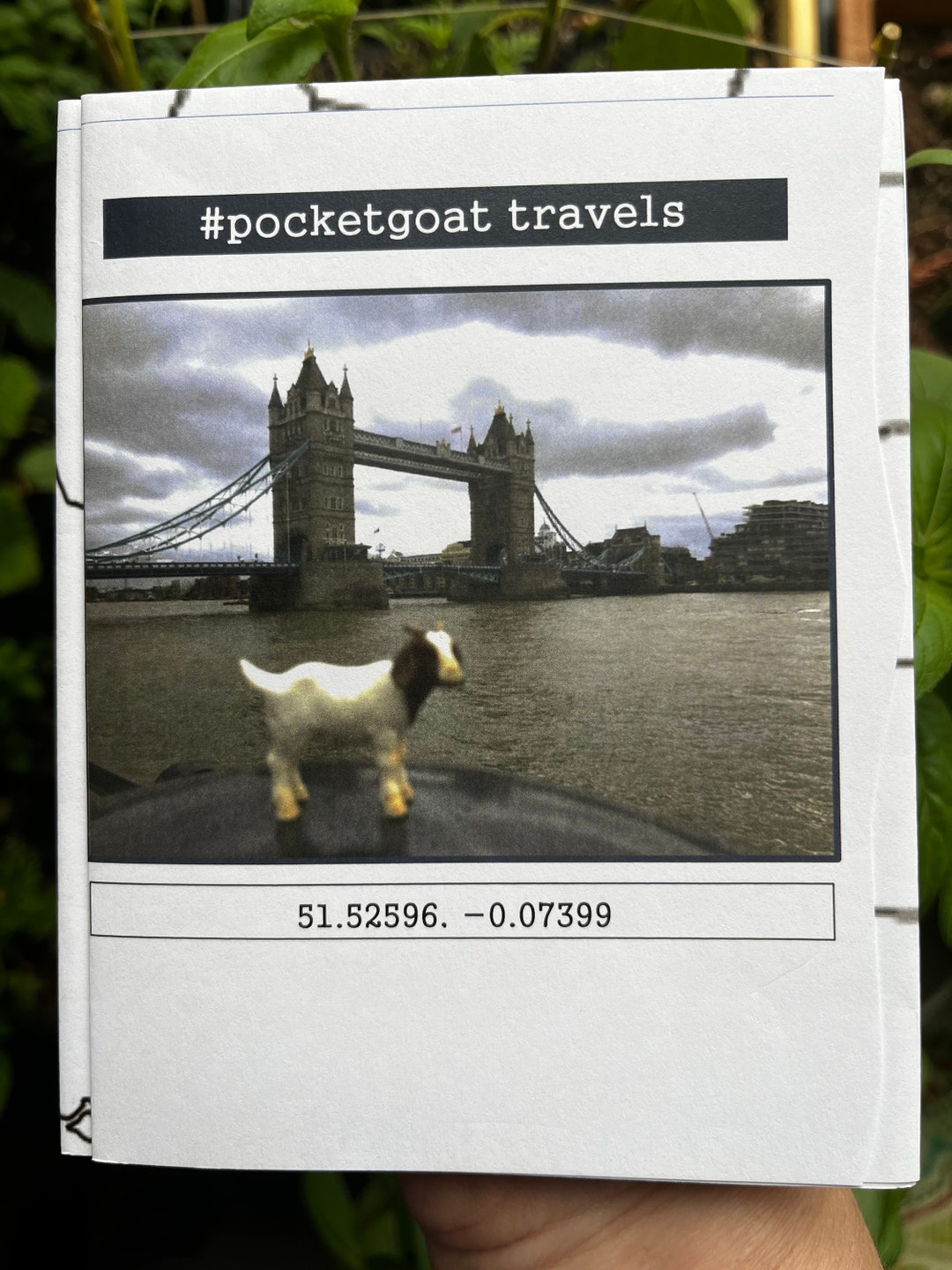 GOAT ZINE #2 | Pocket Goat Mini Photo Travel Zine | Fun Travel Color ...