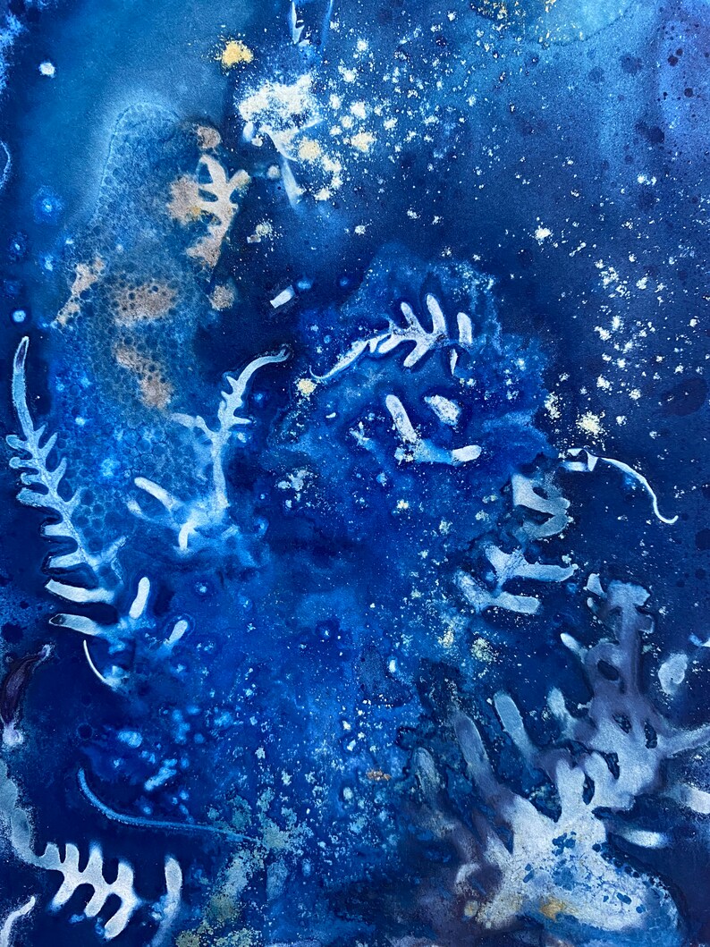 Cyanotype Fern Botanical Plants Photograph Blue Plant Art - Etsy