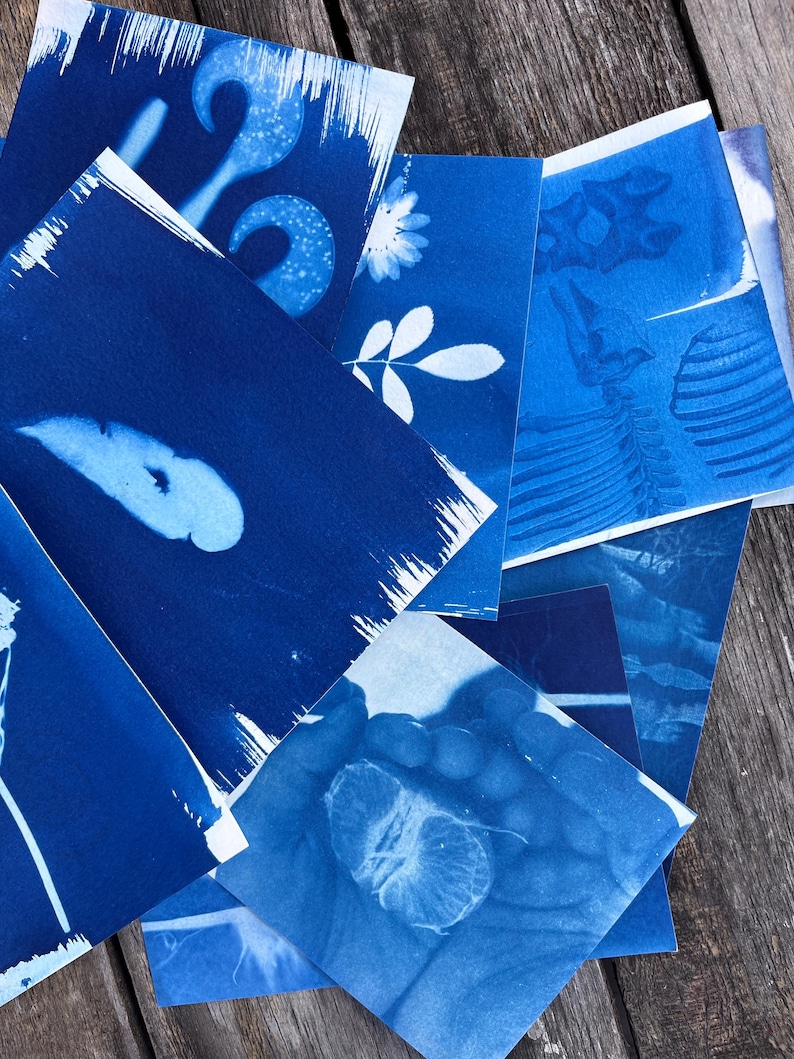 Mystery Cyanotype Print | Nature Wall Art, 4x6 Blue Artwork - Etsy