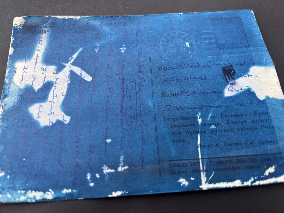 Blue Flowers Art Cyanotypes Blue Postcard | Cyanotype Print | Plant ...