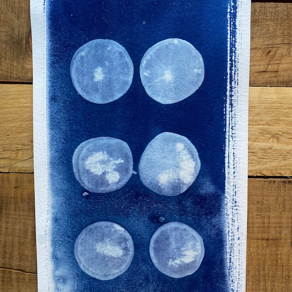 Cyanotype Print - Etsy