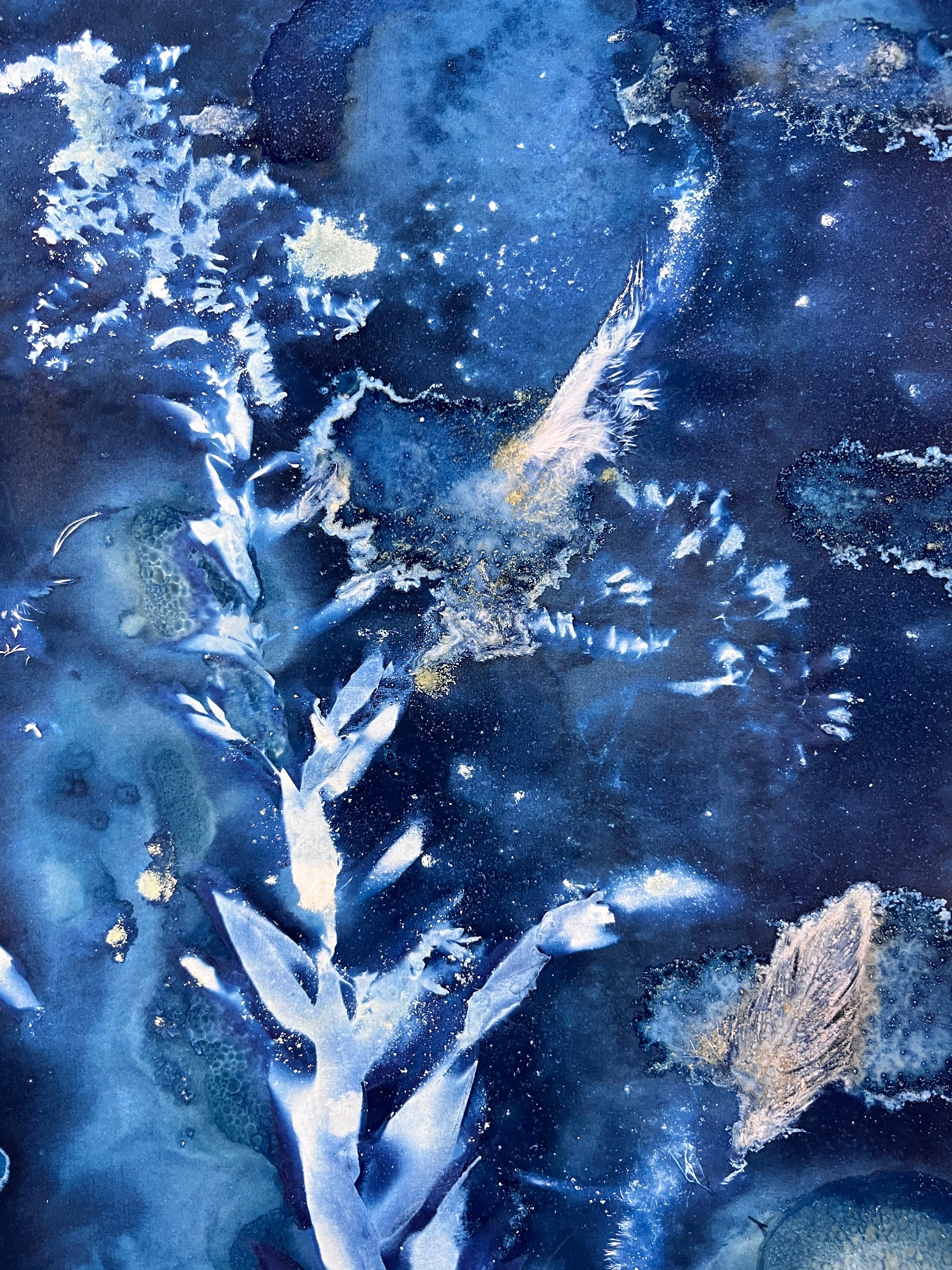 Goldenrod Cyanotype Feather Prarie Wildflowers Blue Water Like Feathers ...