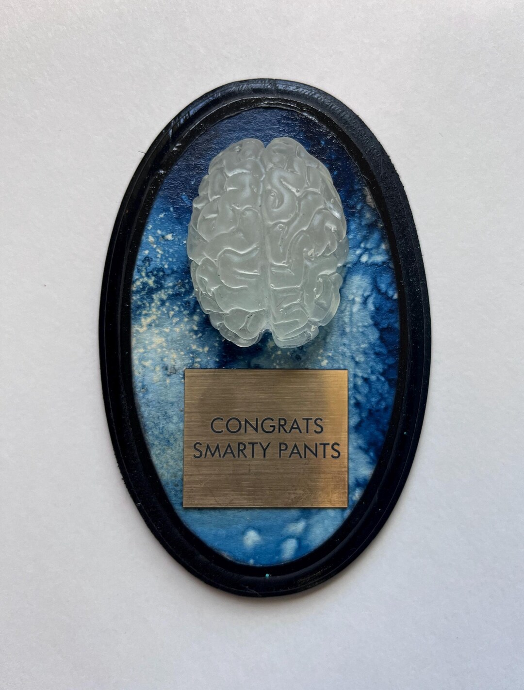 Graduation Smart Brain Smarty Pants Trophy Award Black Wood Plaque ...