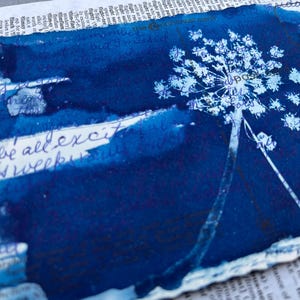 Queen Anne Lace Art Cyanotypes Blue Postcard | Cyanotype Print | Plant ...