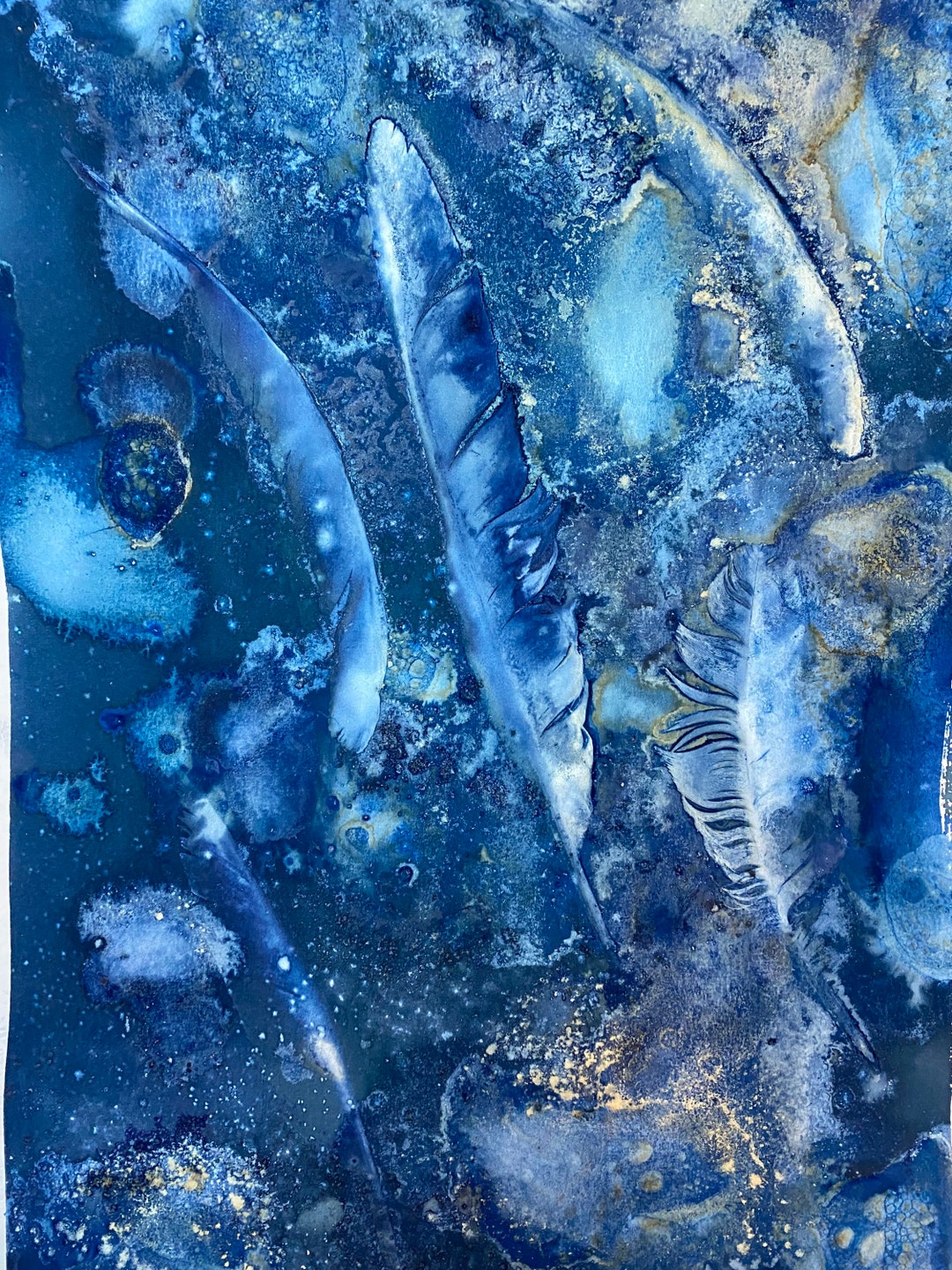 Cyanotype Floating Feathers Photograph Bird Feather Blue Art Abstract ...