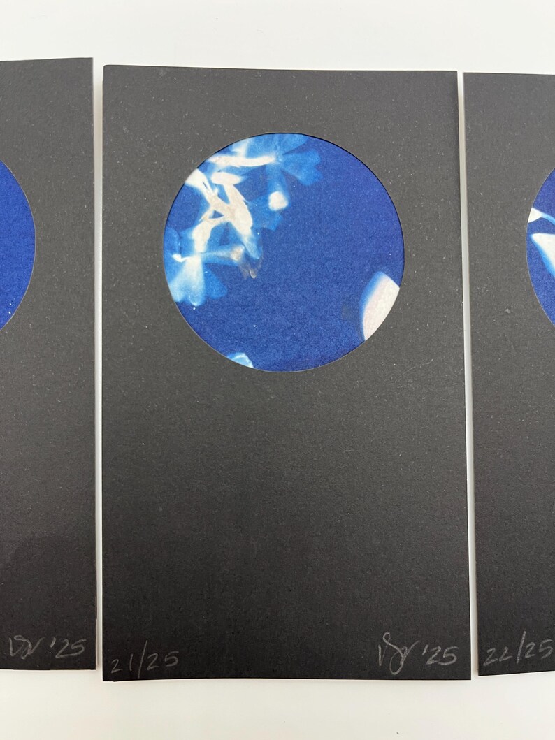 Cyanotype Mini Circle Art | Limited Edition Blue Artwork - Etsy