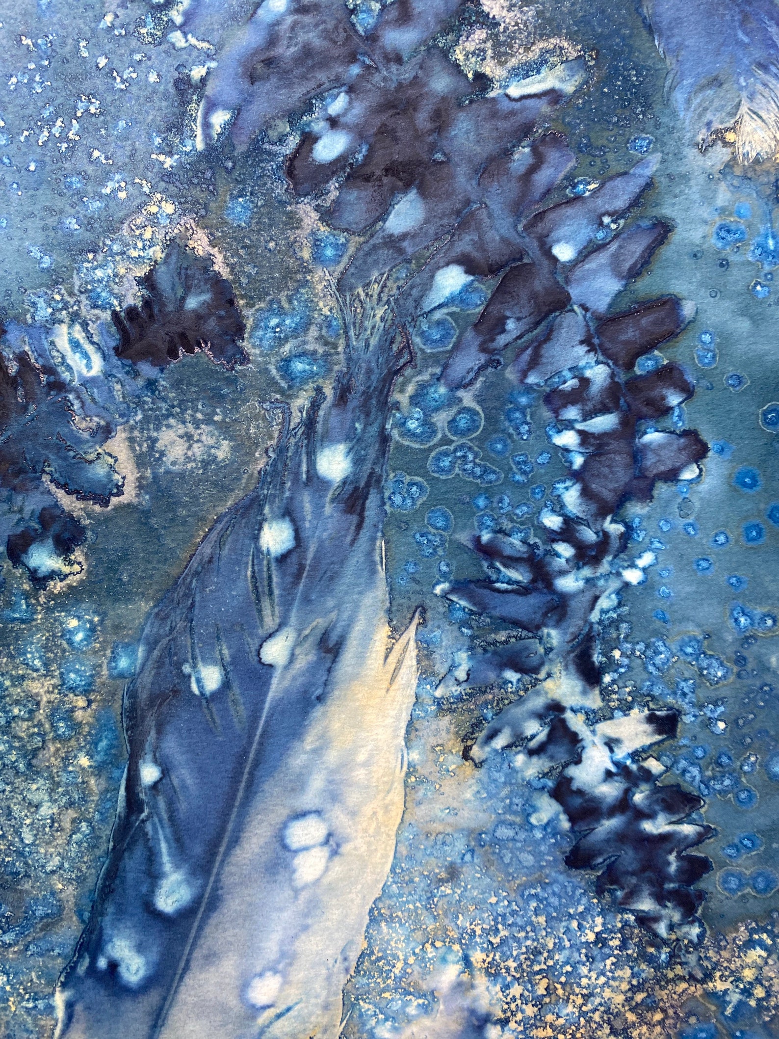 Blue Cyanotype Print Photograph Feather Fern Deep Blue Blue Print ...