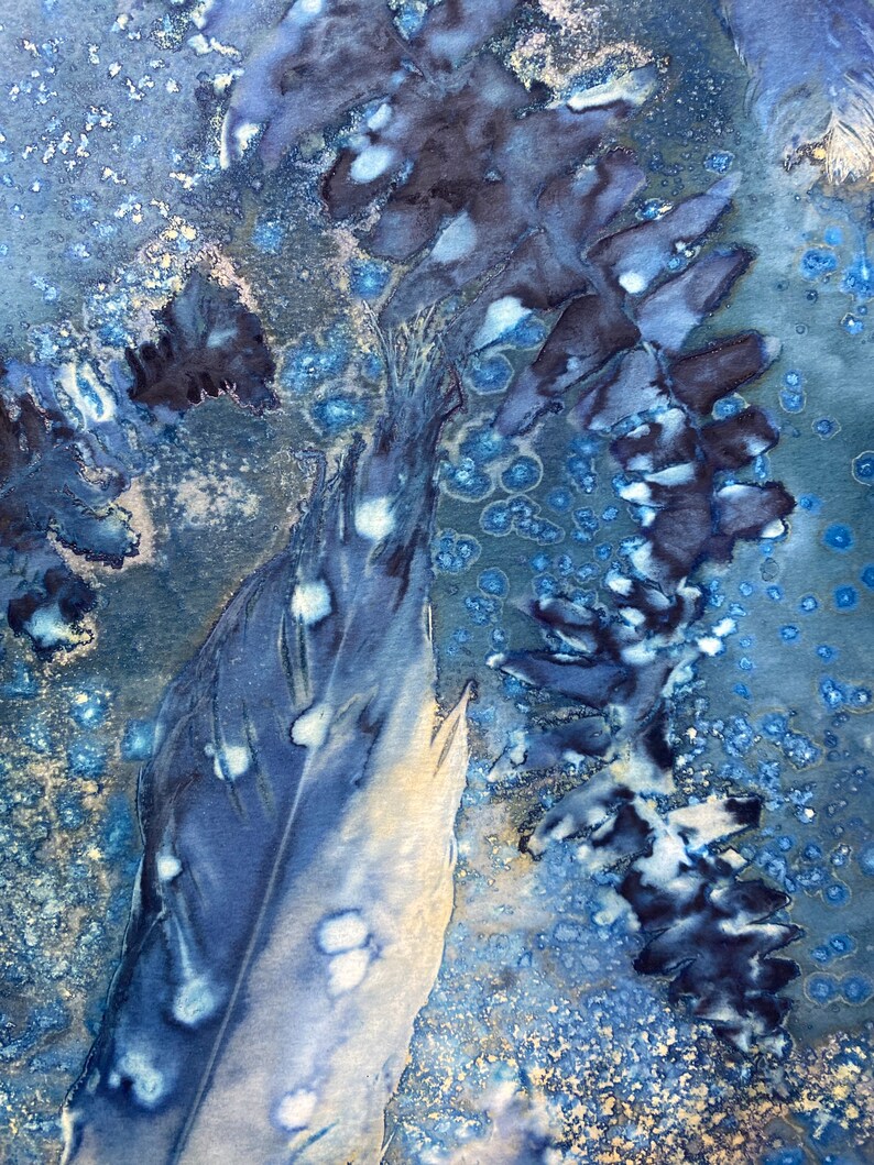 Blue Cyanotype Print Photograph Feather Fern Deep Blue Blue Print ...