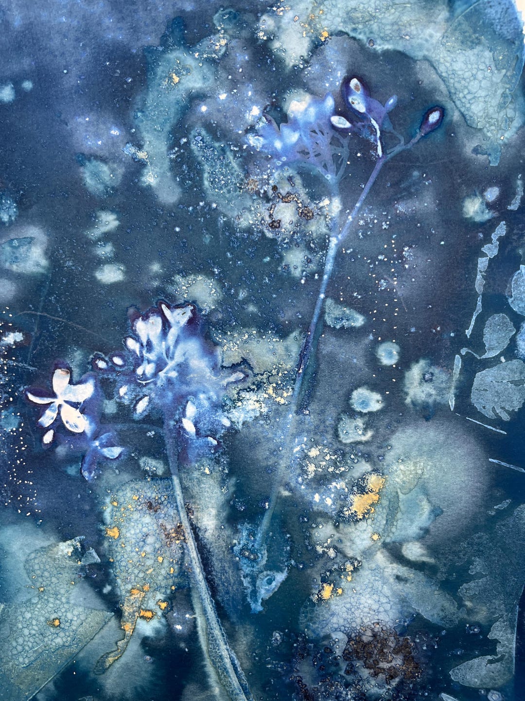 Cyanotype Wildflower Blue Boho Flower | Blue Photography OOAK Original ...